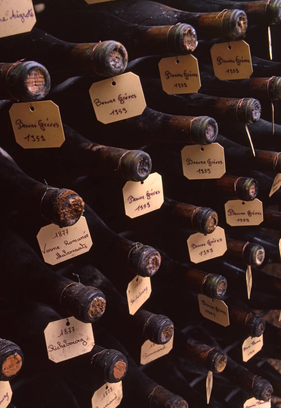 A Comprehensive Guide on French Burgundy Wines - English Wine Producers