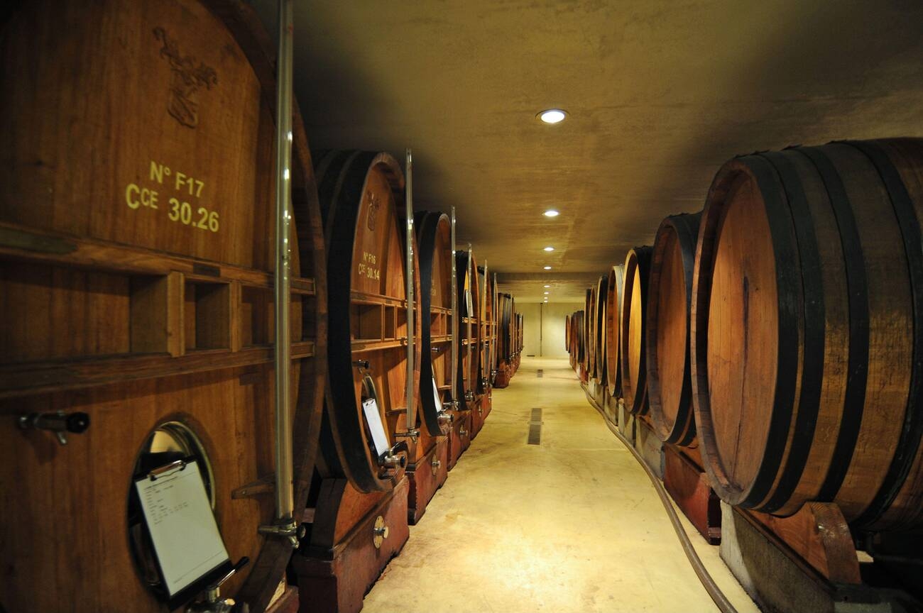 How Long Should You Store Your Red Wine In The Cellar? A Handy Guide ...