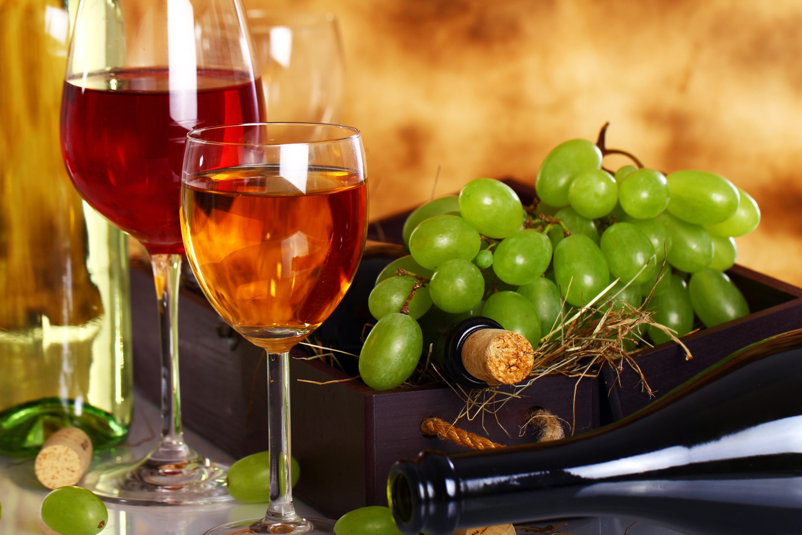 From Vine to Glass: Celebrating the Best of Burgundy Wines - English ...