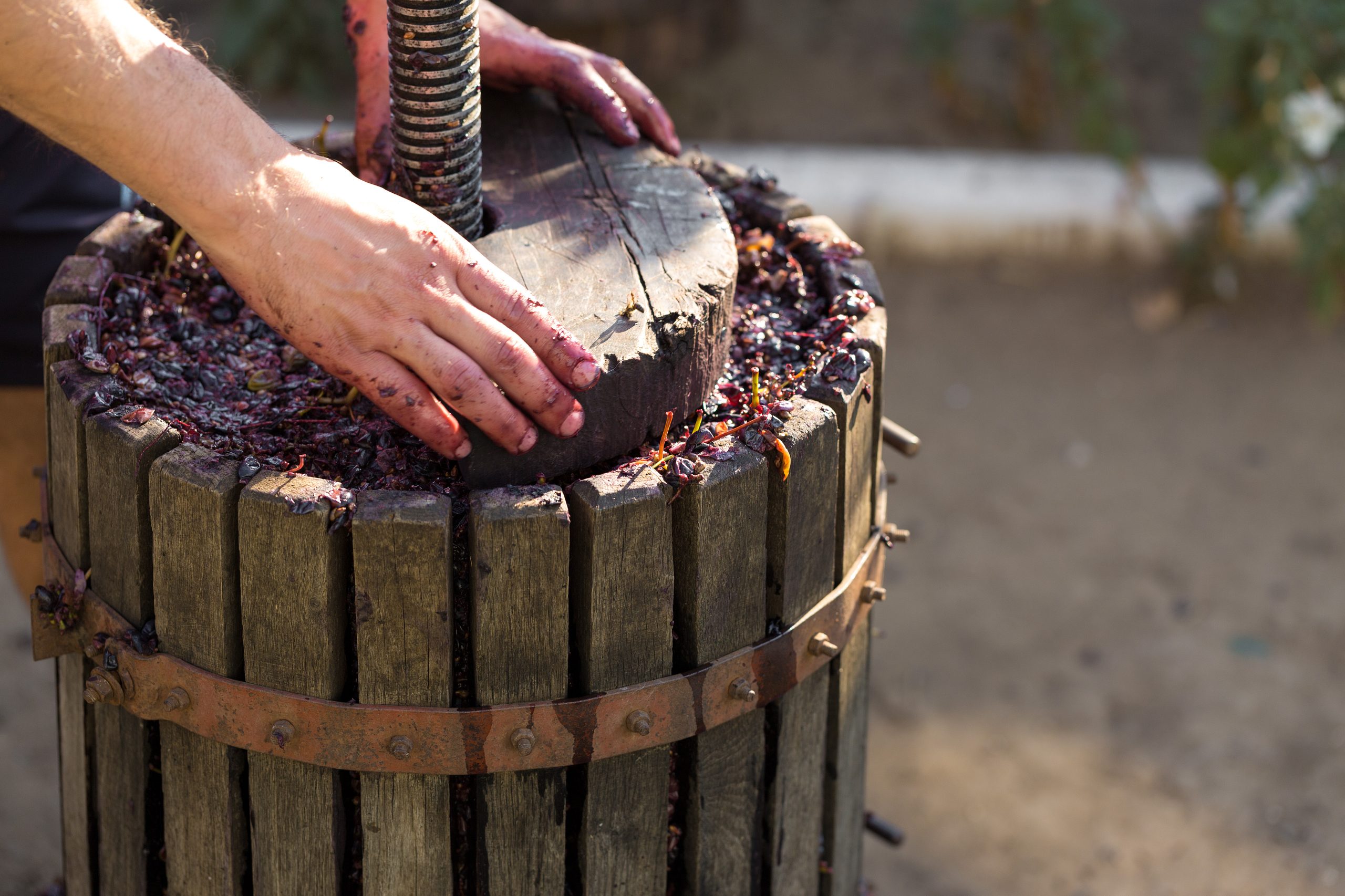Sustainable Winemaking Frontiers | Strategies For Achieving The